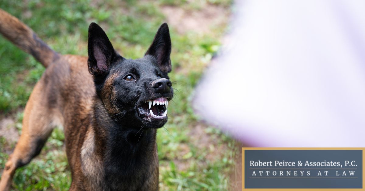 Dog Bites and Personal Injury Law: Knowing Your Rights